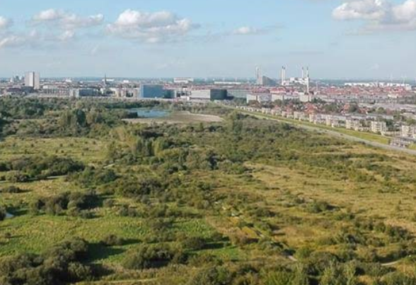 Awareness Run and Walk - ESGO CongressESGO Congress